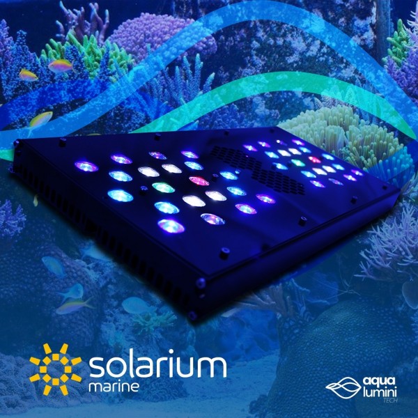 Aqua Lumini Tech Luminária em LED Modelo Solarium Marine 80cm 240w ...